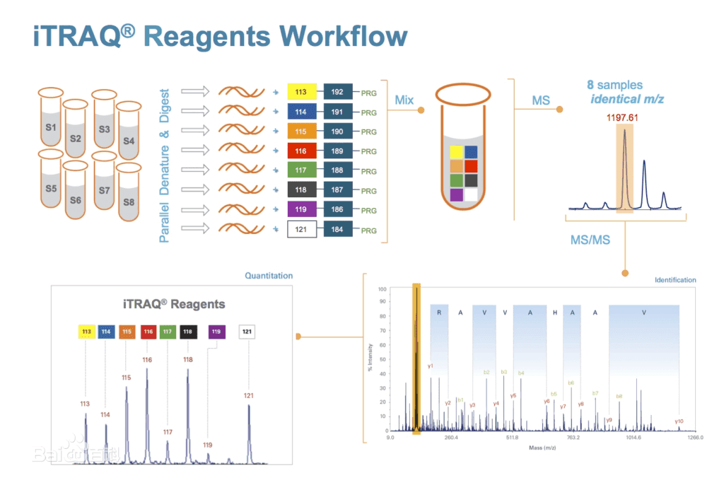 iTRAQ/TMT Labeled Quantitative Proteomics – 武汉瑞兴生物科技有限公司