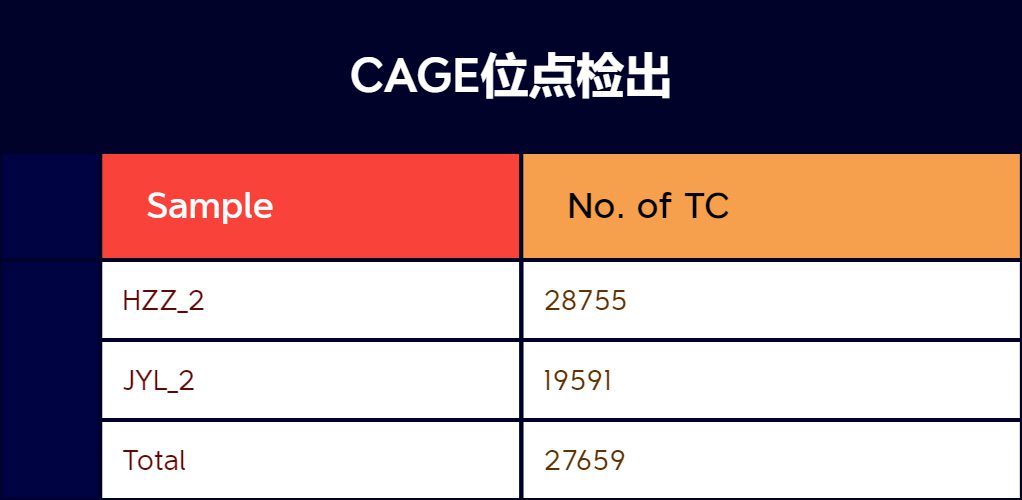 CAGE-seq – 武汉瑞兴生物科技有限公司